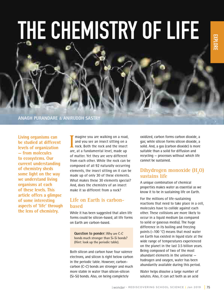 Chemistry's Role in Life on Earth | PDF | Nucleotides | Wellness