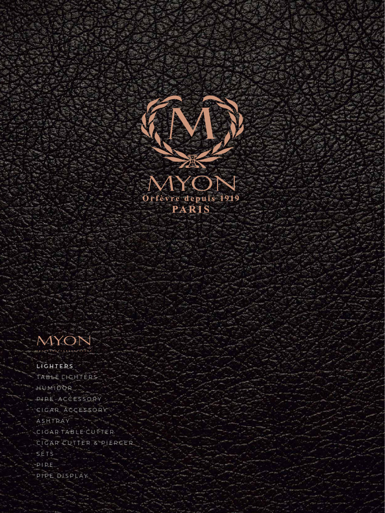 Myon | PDF