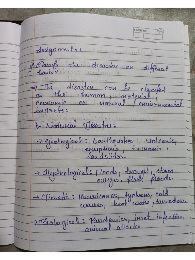 DM Assignment 1 | PDF