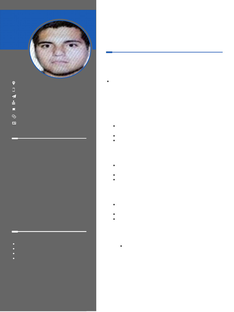 LARRY_PINEDORUIZ_CV MAYO 2024 | PDF