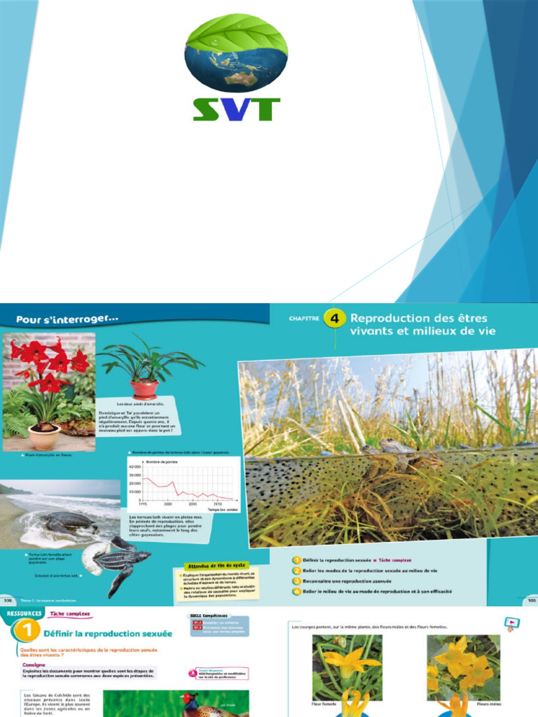 SVT PPT (T2C4) 5ème | PDF