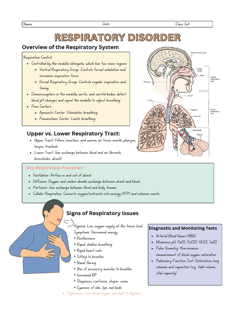 Respiratory Disorder Notes | PDF