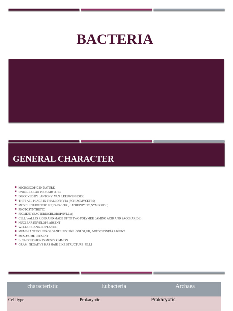 Bacteria 1... | PDF