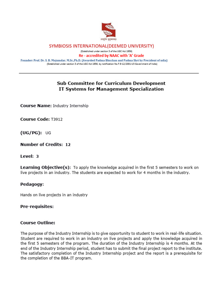 601 T3912 Industry Internship | PDF