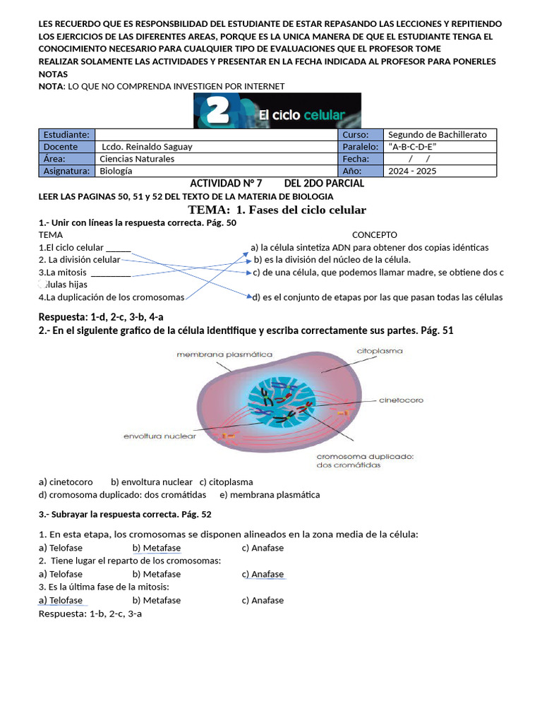 Actividades de Biología para Bachillerato | PDF | Mitosis | Mitosis