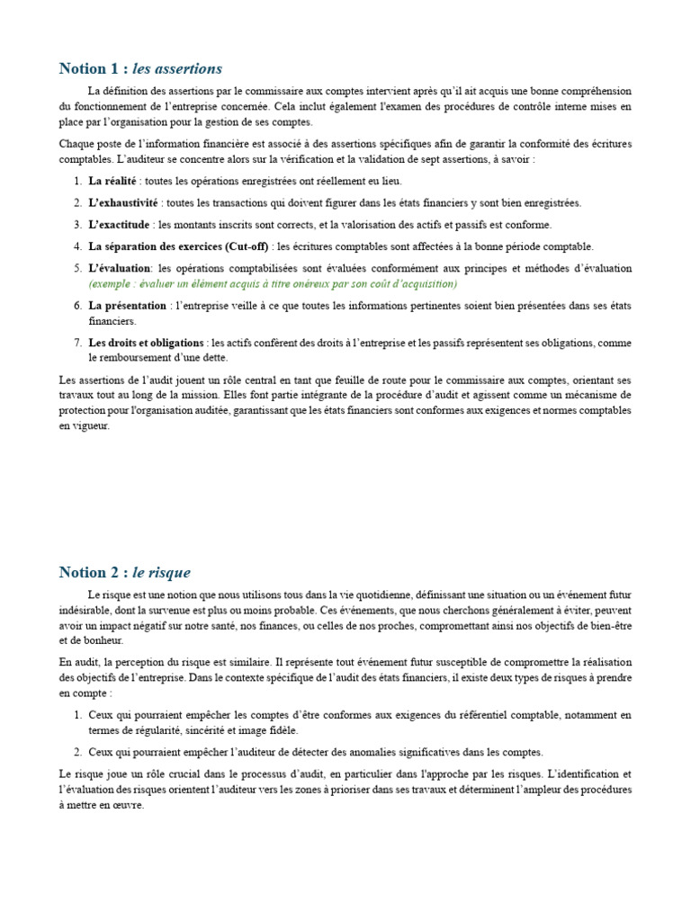 Auditassertions1727701730 Pdf 