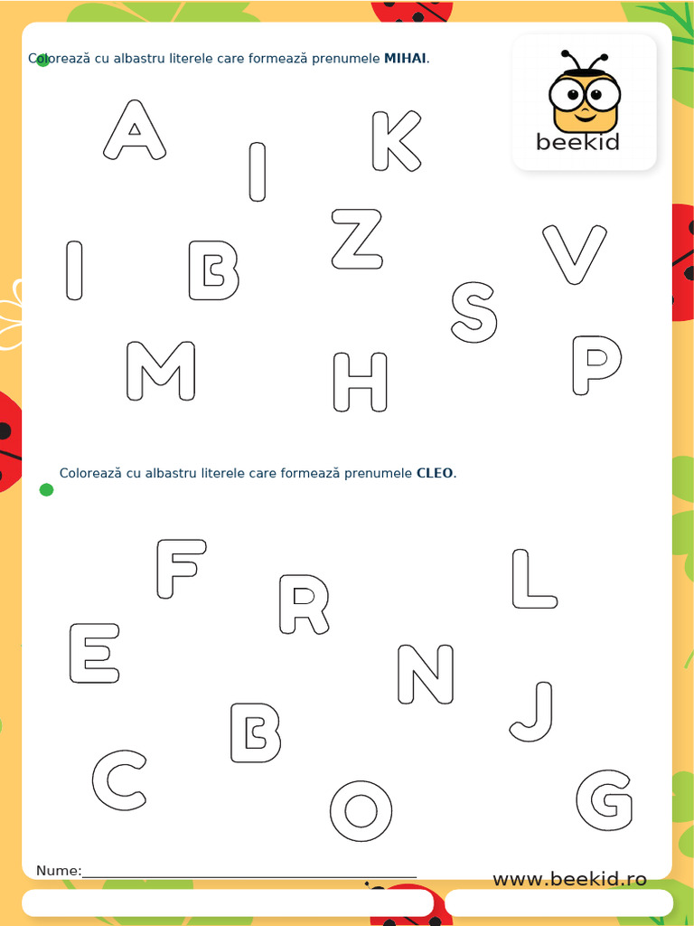 Fise de Lucru Beekid | PDF