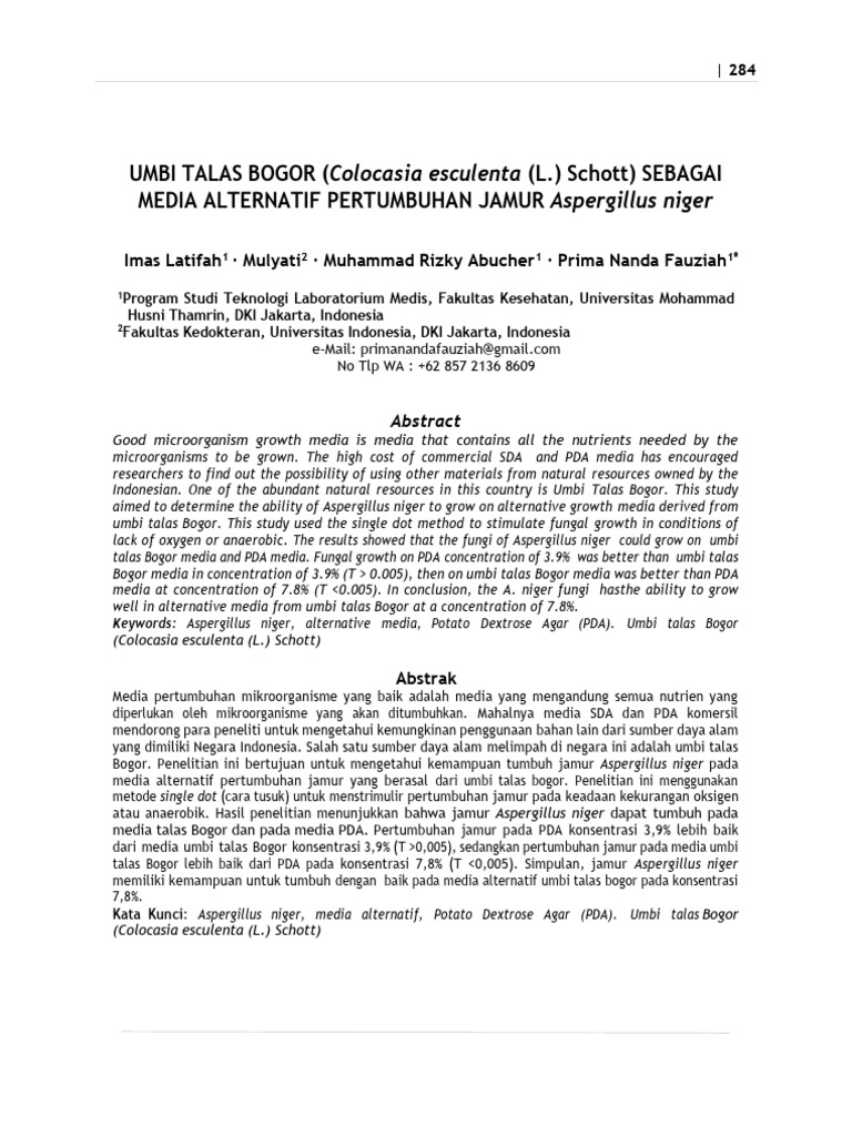 194-File Utama Naskah-1135-1-10-20231208 | PDF