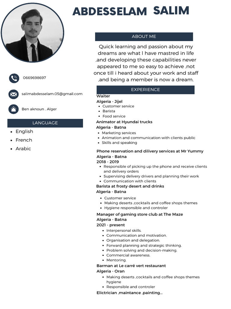 Salim CV Eng 1 | PDF