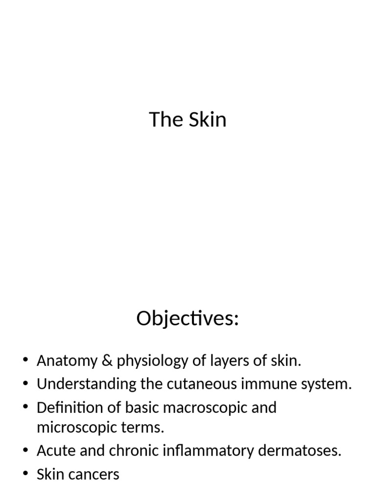 The Skin 2 | PDF