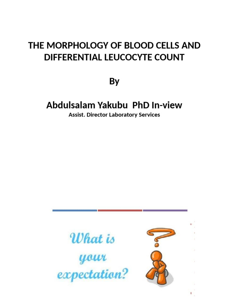 Blood Morphology and DLC | PDF | Anemia | Red Blood Cell