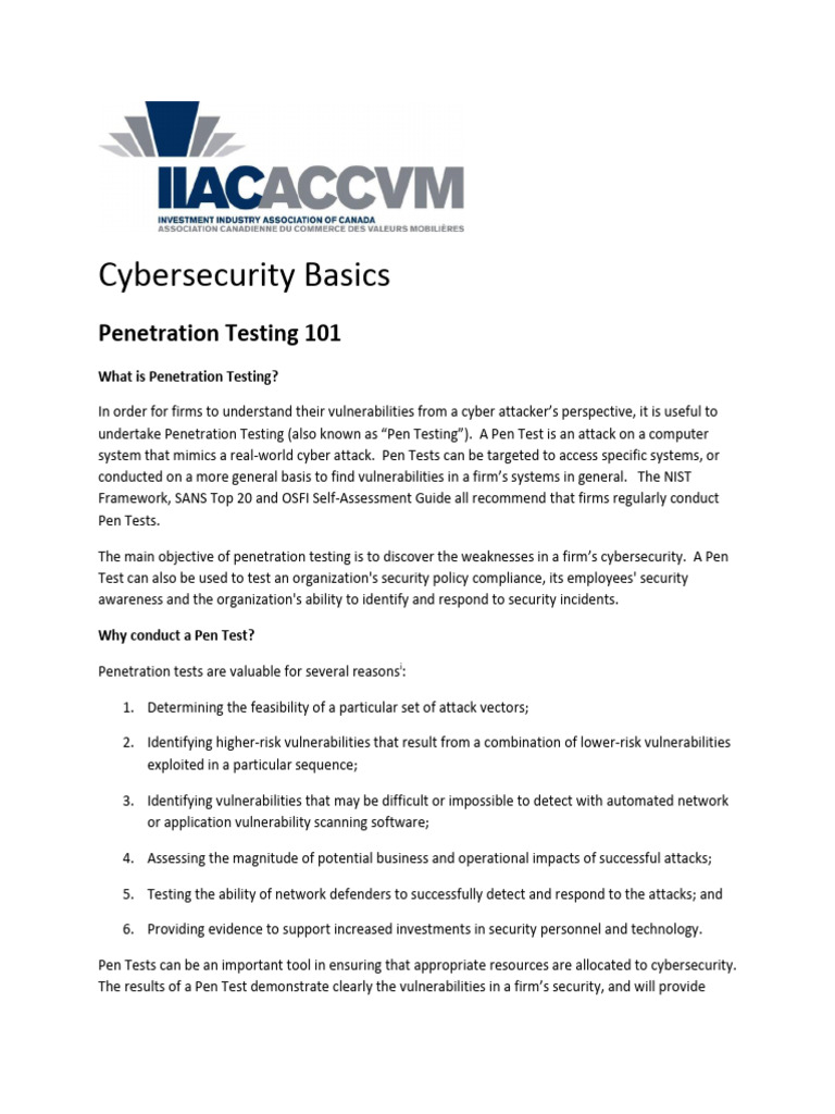 Cyber Security Basics Pen Tests 101 | PDF