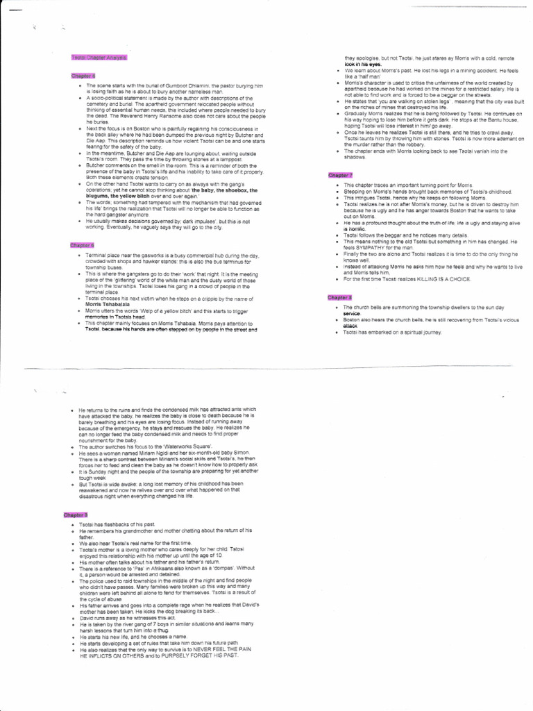 Tsotsi Chapter Analysis | PDF