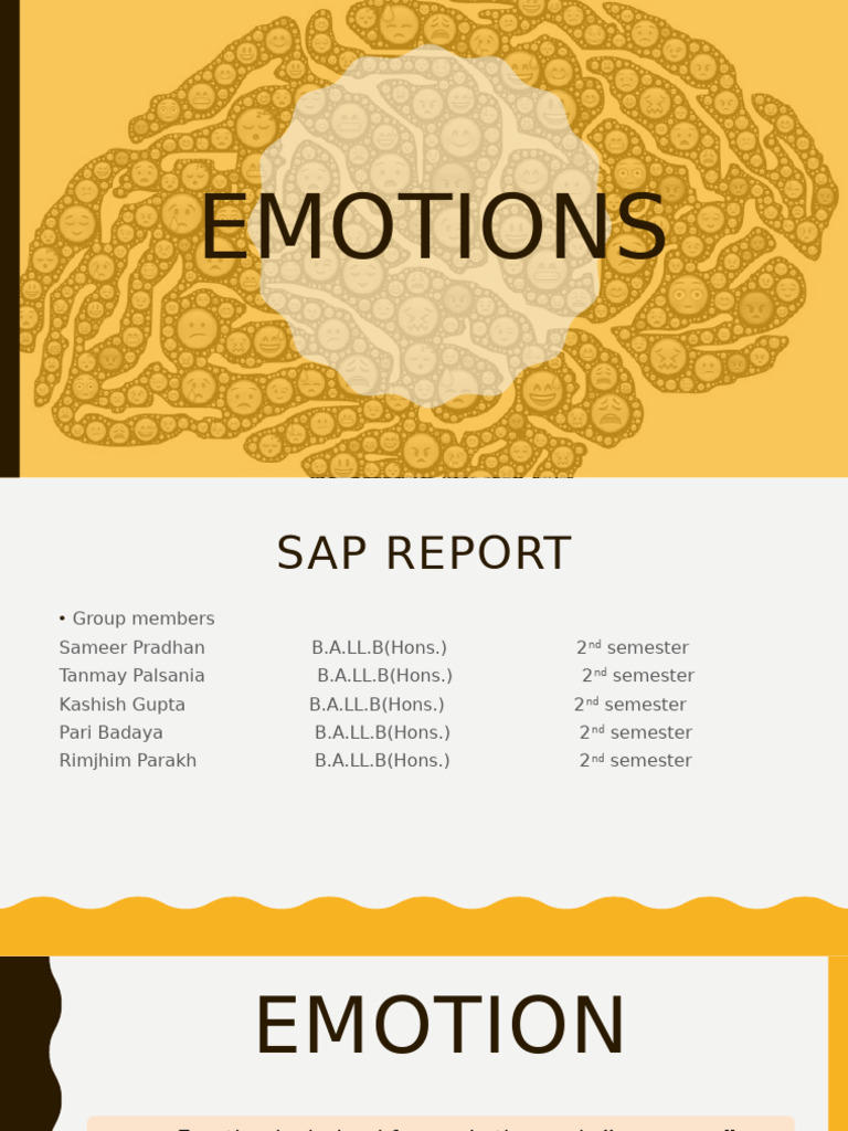 sap report | PDF