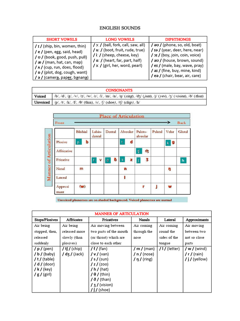 English Phonetics: Vowels & Consonants | PDF | Phonetics | Language ...