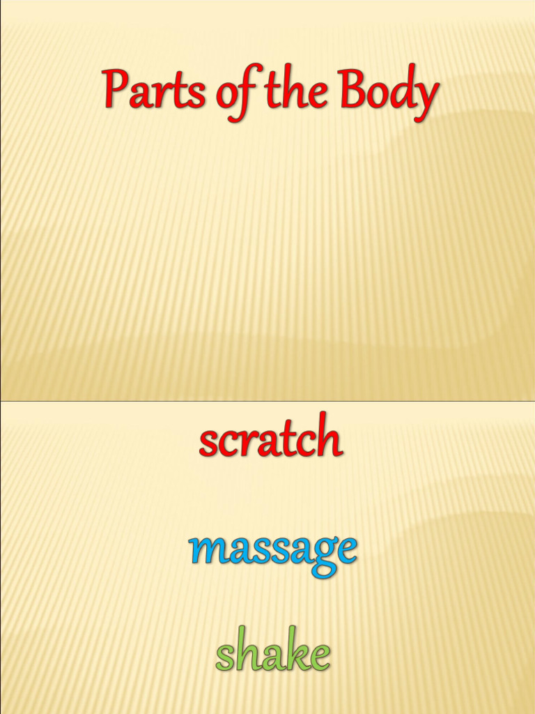 Body Parts Pdf