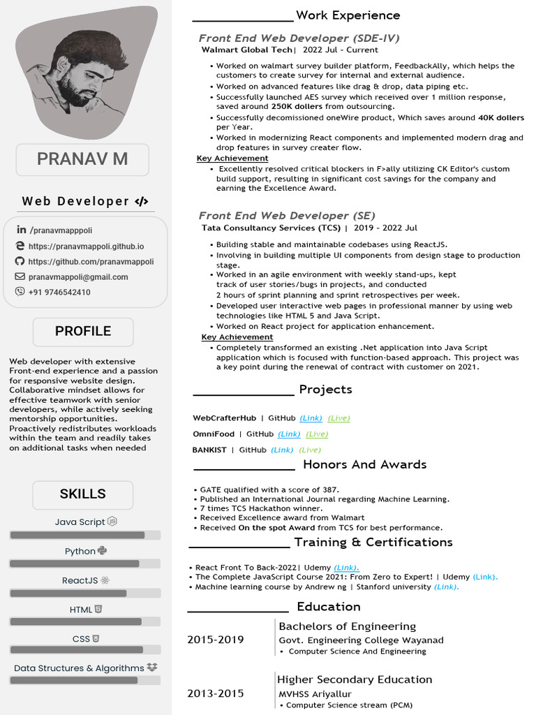 Web Developer Profile: Skills & Experience | PDF | Computing | Computers