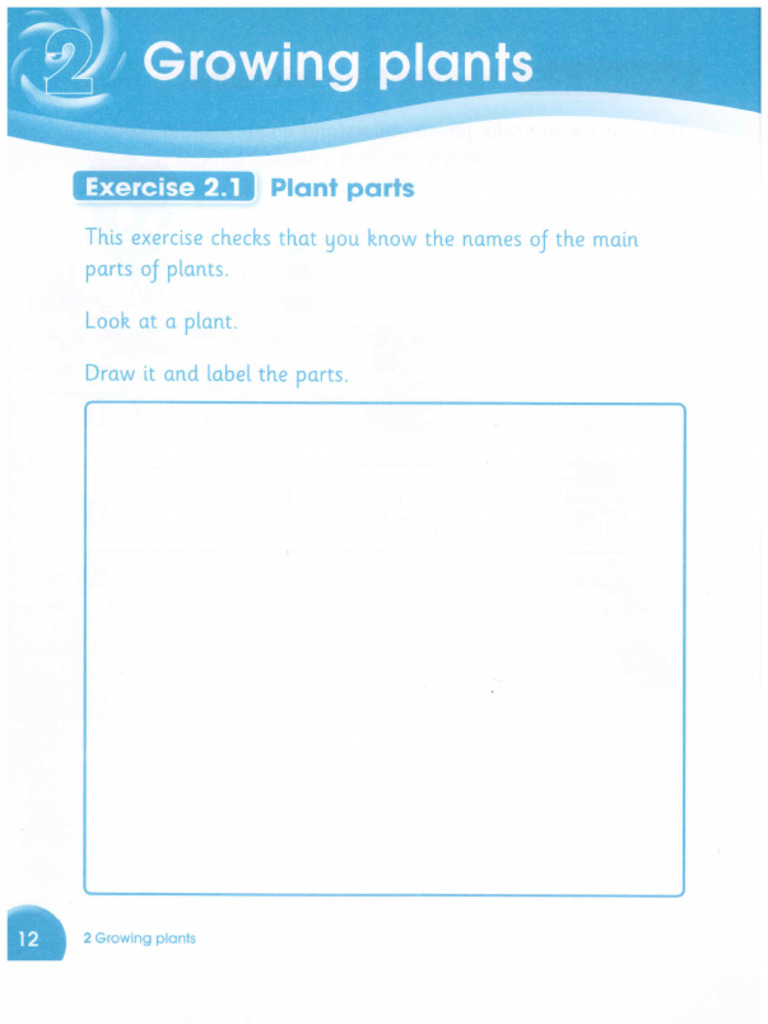 Science 1 Activity Book | PDF