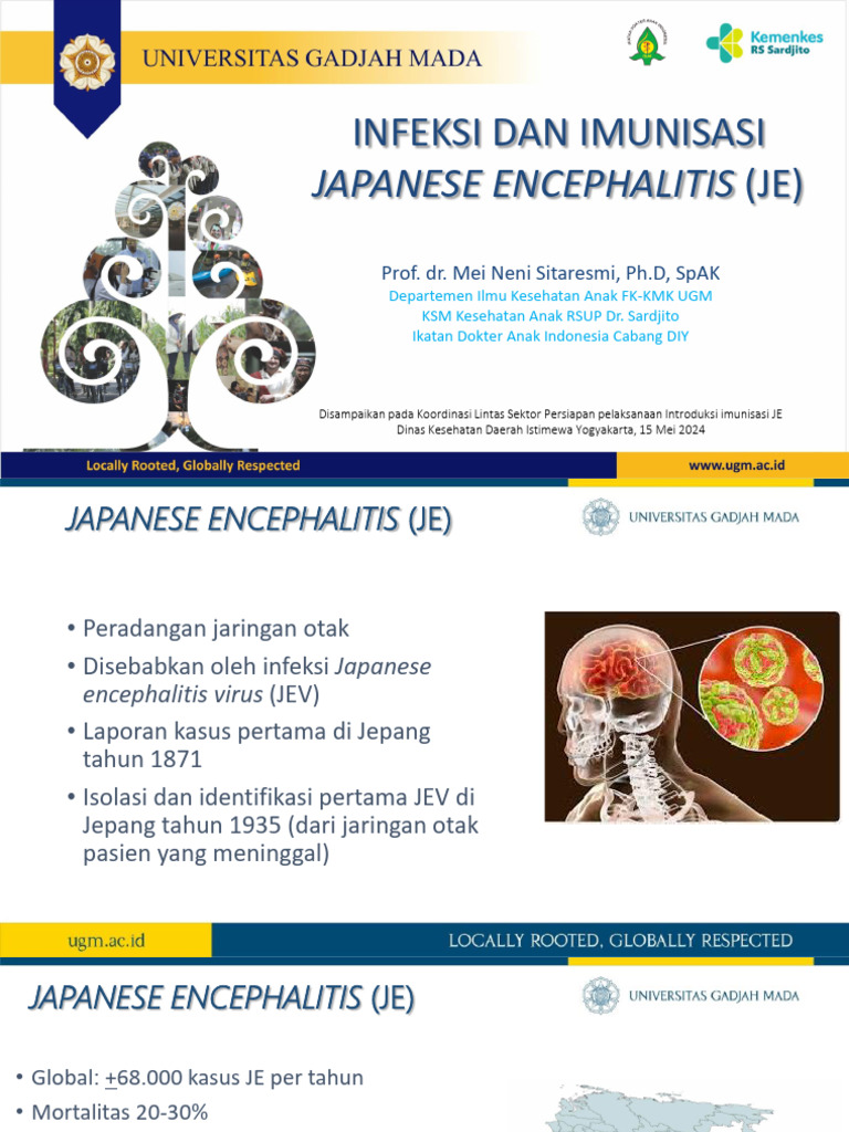 Narasumber Dinkes DIY 15 Mei 2024 - Imunisasi Japanese Encephalitis - Prof Mei | PDF