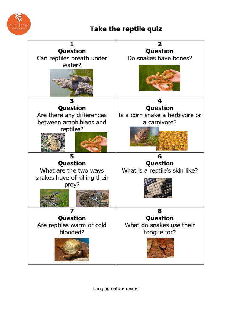 Reptile Quiz | PDF | Reptile | Language Arts & Discipline