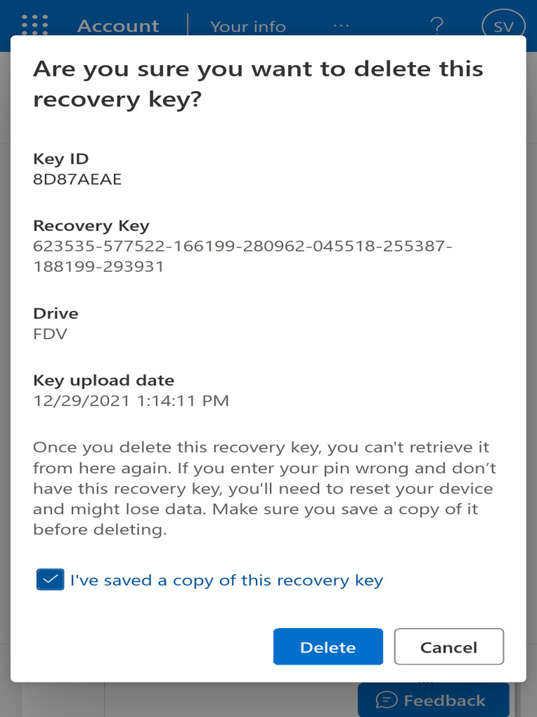 Microsoft Account BitLocker Recovery Keys | PDF