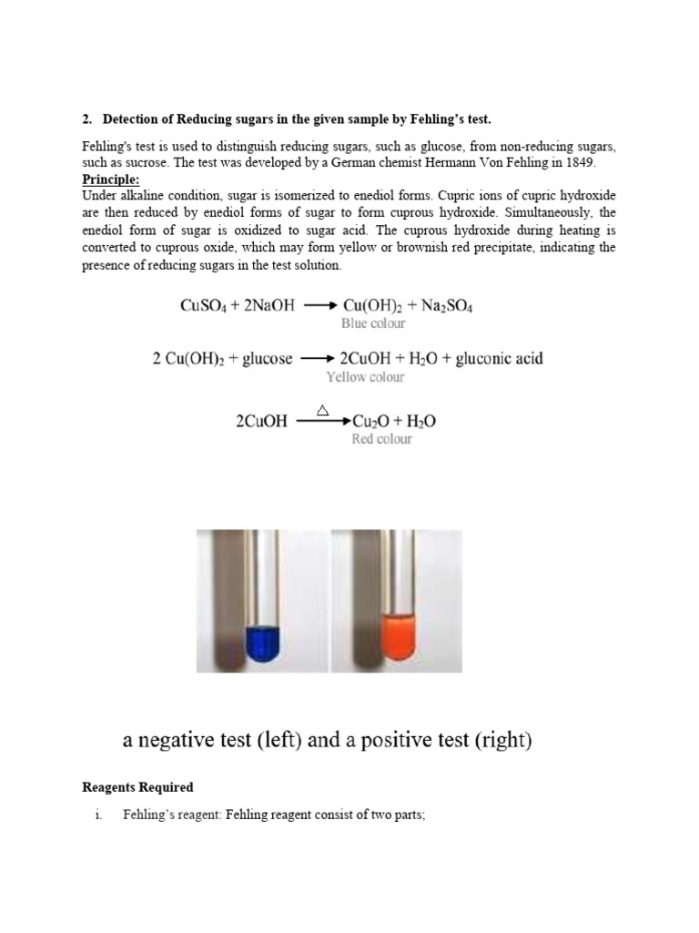 Fehling's Test Handouts | PDF