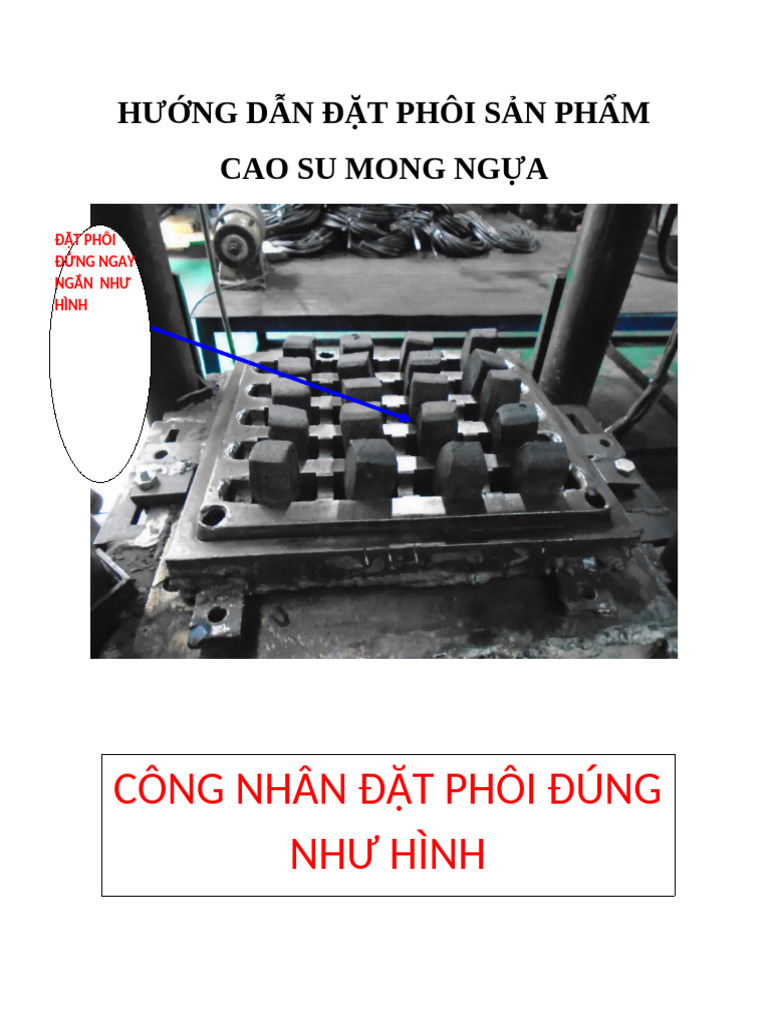 HƯỚNG DẪN ĐẶT PHÔI SẢN PHẨM CAO SU MÓNG NGỰA AAAAAAAA | PDF
