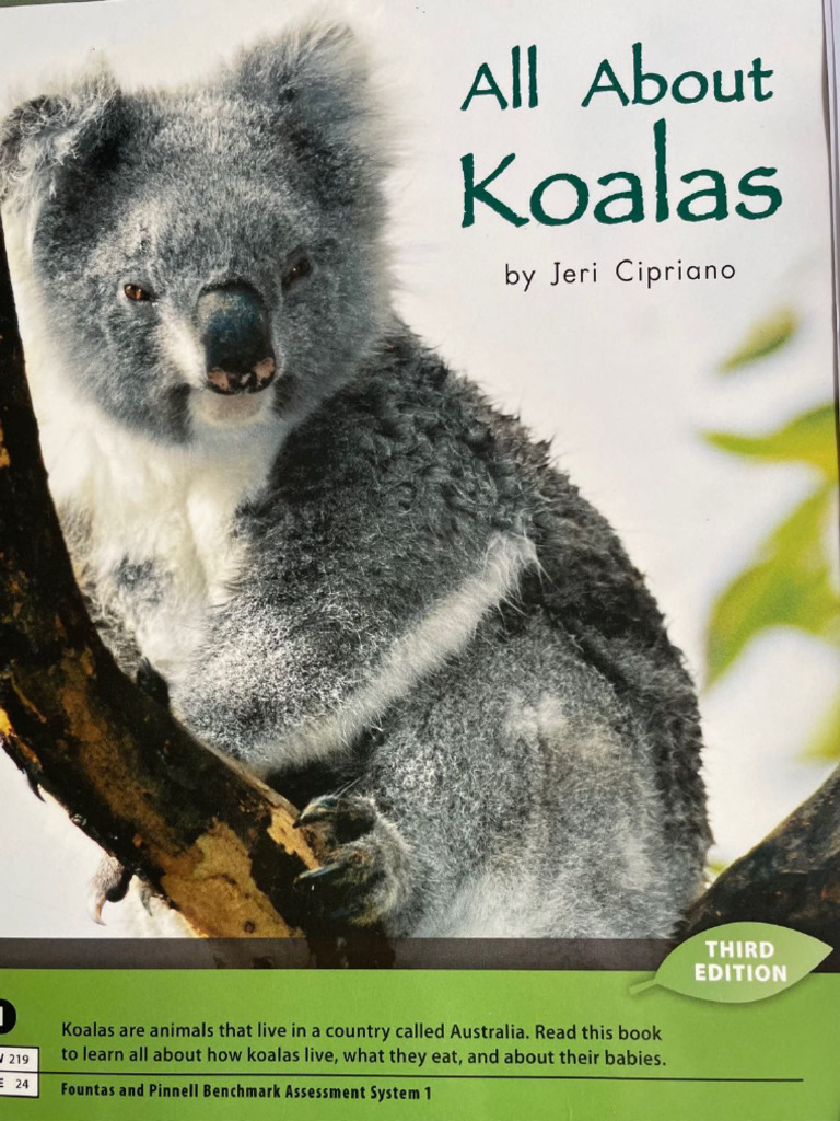 (I) All About Koalas (NF) | PDF