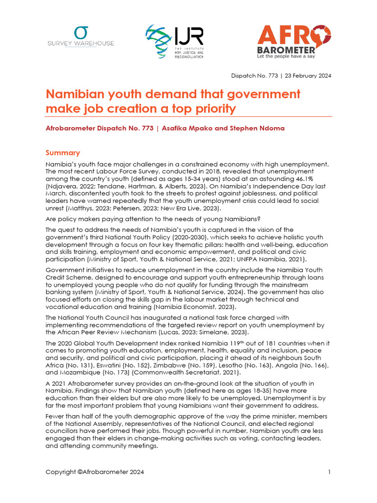 Afrobarometer Namibia | PDF