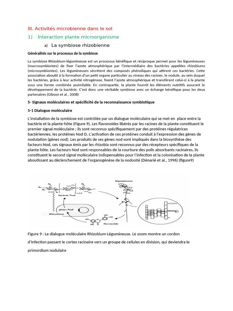 COURS MBS | PDF