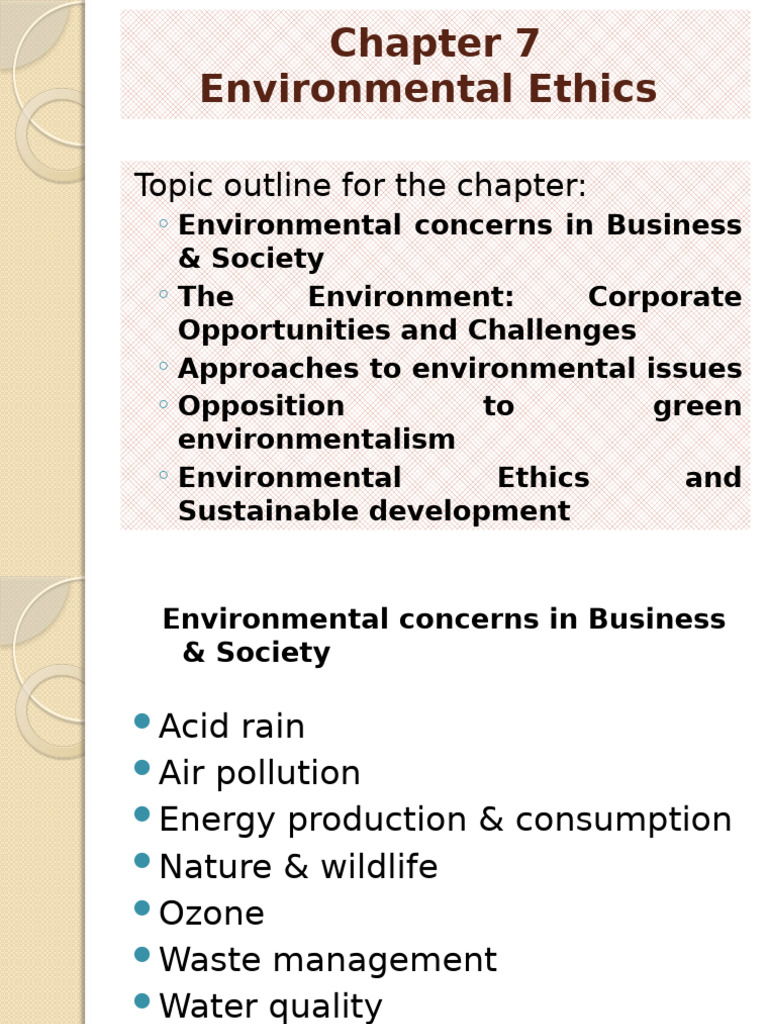 CSR CHAPTER 7 SLIDES | PDF