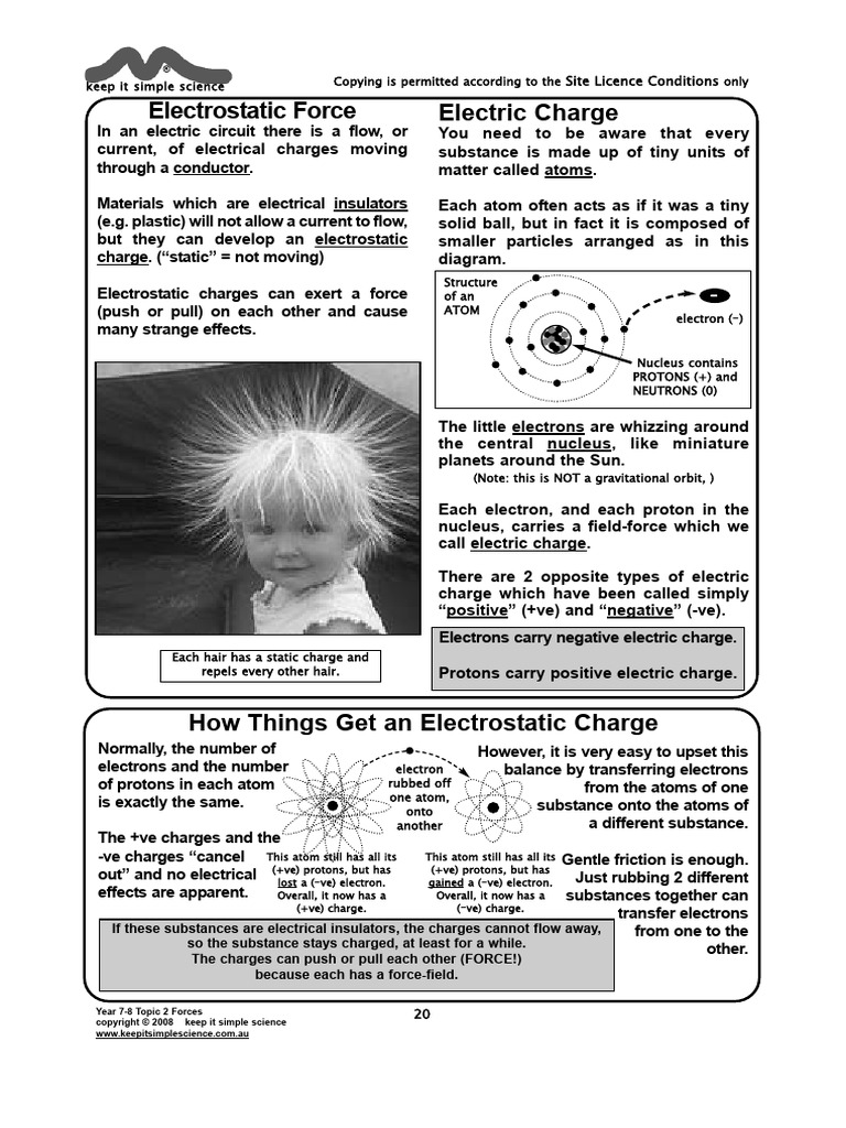 Worksheet - Electrostatic Forces | PDF
