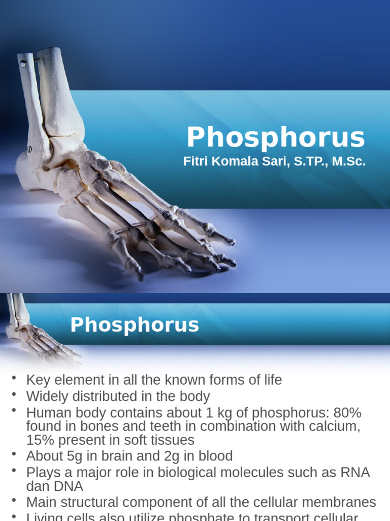 Phosphorus | PDF