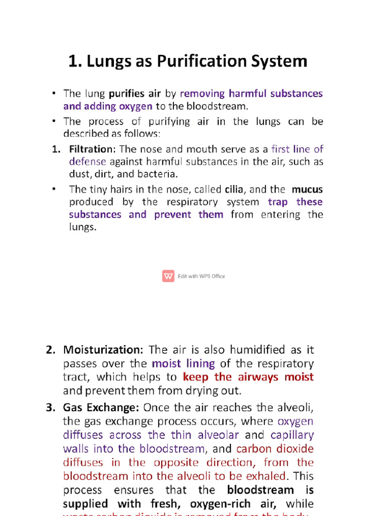 Lungs_Purification_System_Final | PDF
