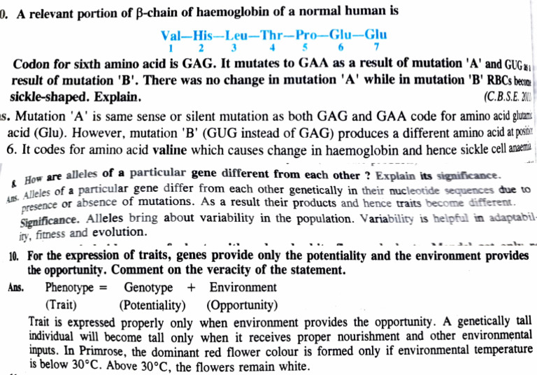 2 and 3 Marks Questions From Genetics | PDF