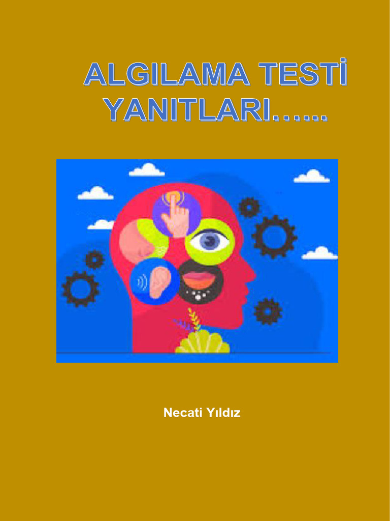 Algilama Test Yanitlari | PDF