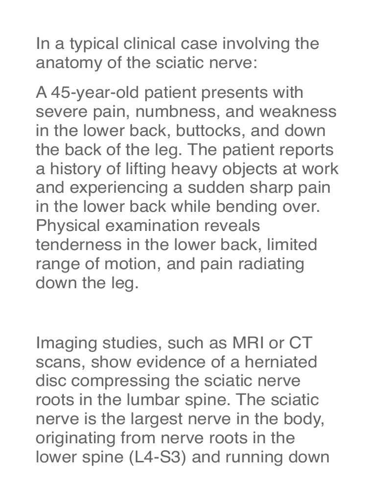 Anatomy of Sciatic Nerve | PDF