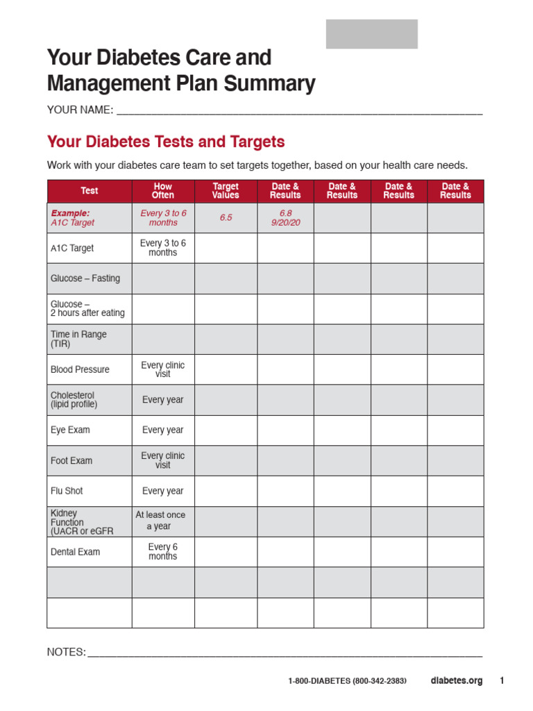 ADA_Care Plan Summary_fillable_Final | PDF