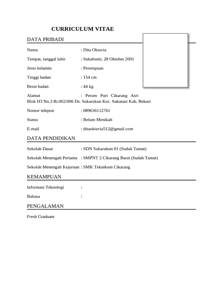 CURRICULUM VITAE Dita | PDF