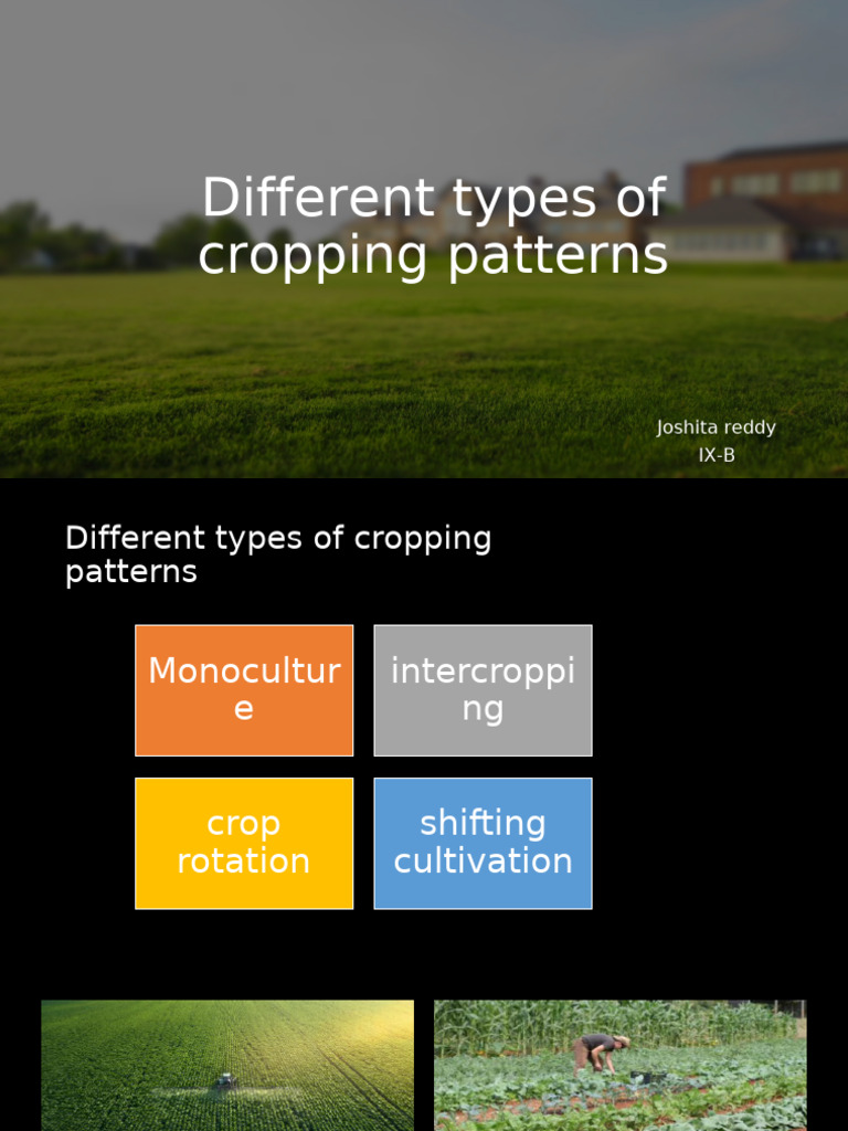 Different Types of Cropping Patterns: Joshita Reddy Ix-B | PDF