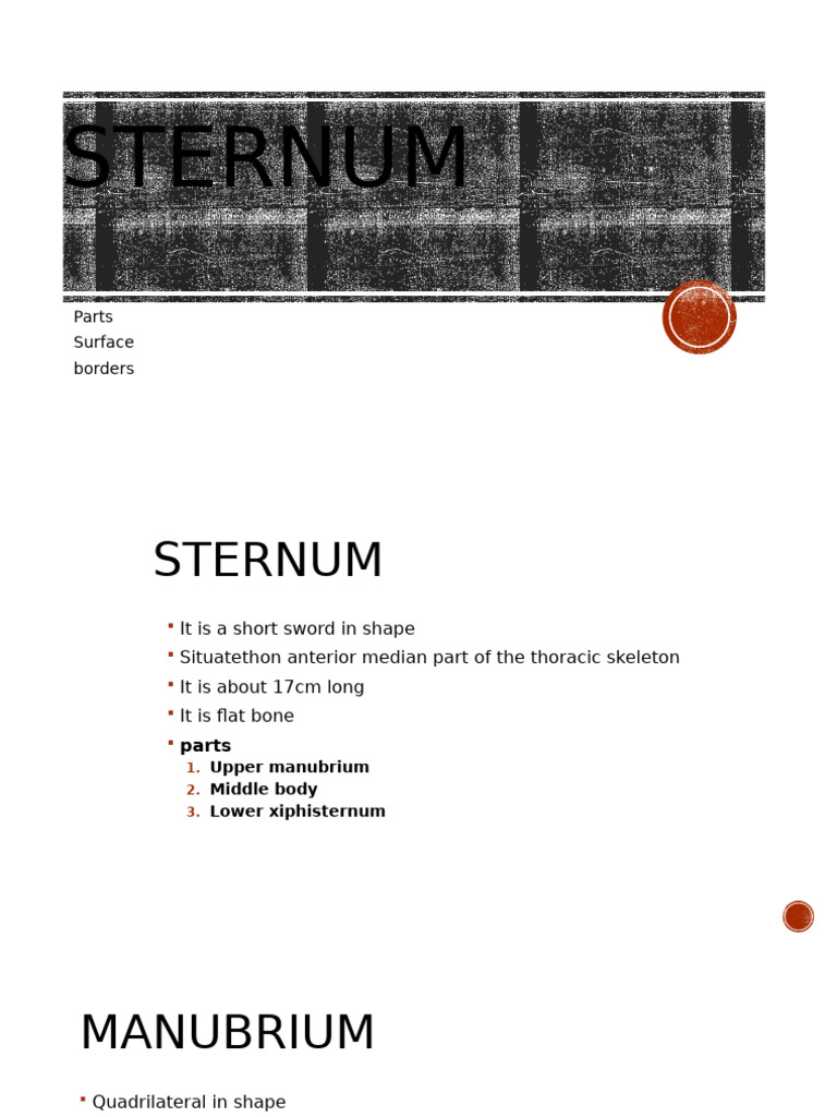 Sternum | PDF