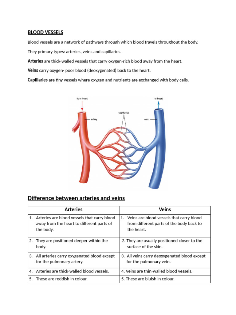 Unit 3 - Notes To Copy P6-1 | PDF
