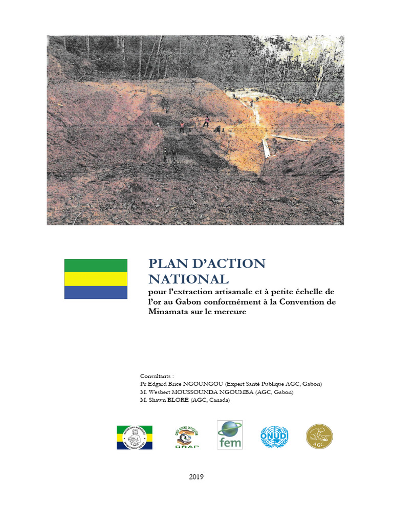 Gabon-ASGM-NAP-2024-FR OR | PDF