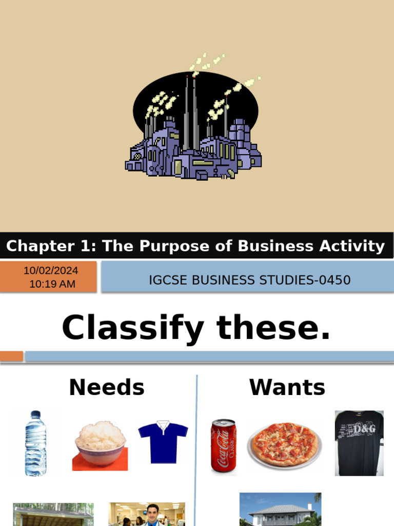 Chapter 01 - The Purpose of Business Activity | PDF