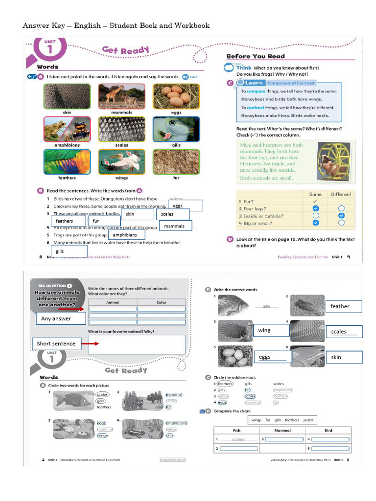 Answer Key - Unit 1 | PDF