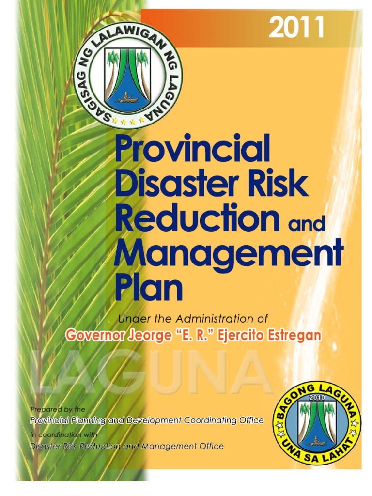 DRRM Plan - Laguna | PDF | Emergency Management | Disaster Risk Reduction