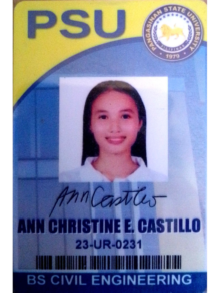 Castillo, Ann Christine E. | PDF