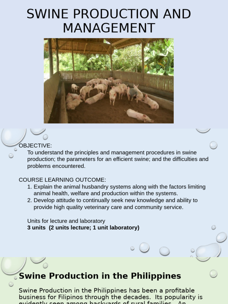 Swine Production and Management Overview | PDF | Pig | Cooking, Food & Wine