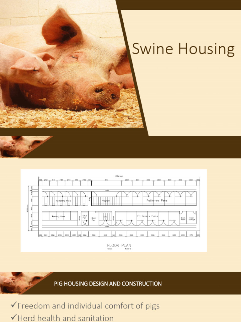 Lec 2 Site Selection Buildings and Facilities in Pig Production | PDF ...