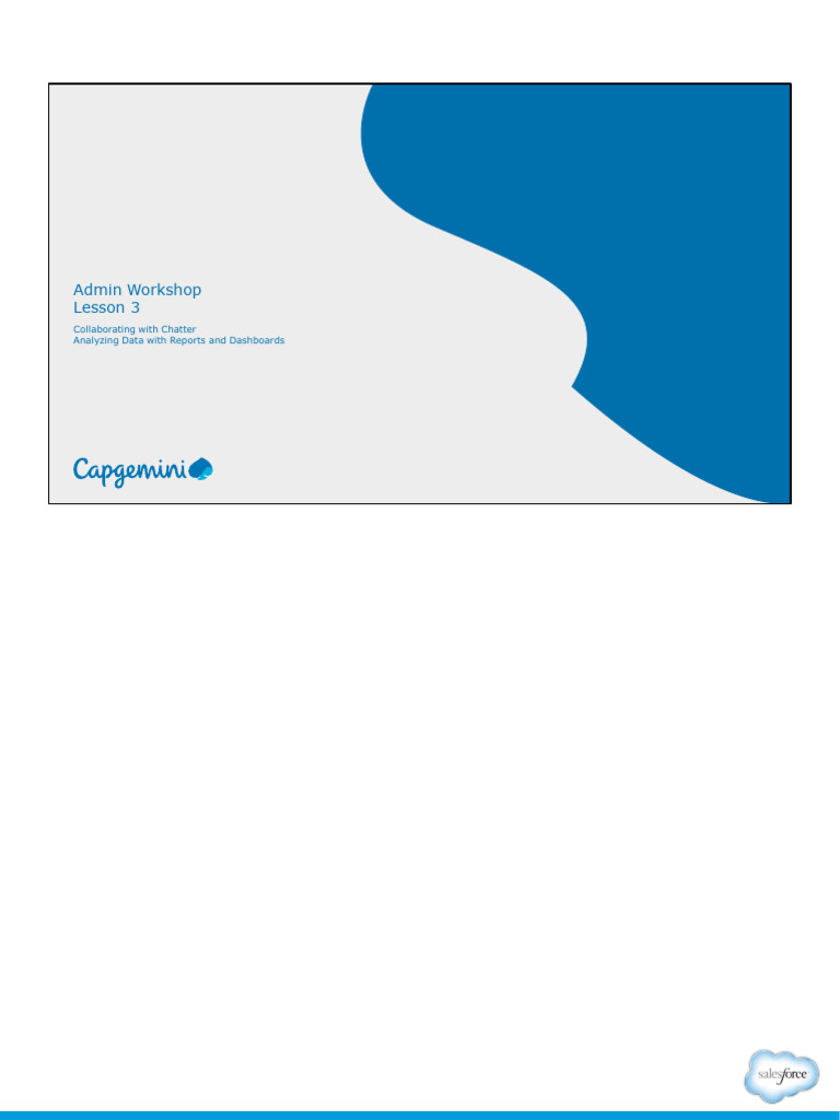 Salesforce Basic Administration - Lesson 3 | PDF